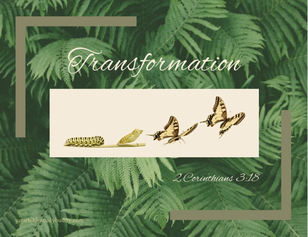 Transformation - Your Bible Study Buddy