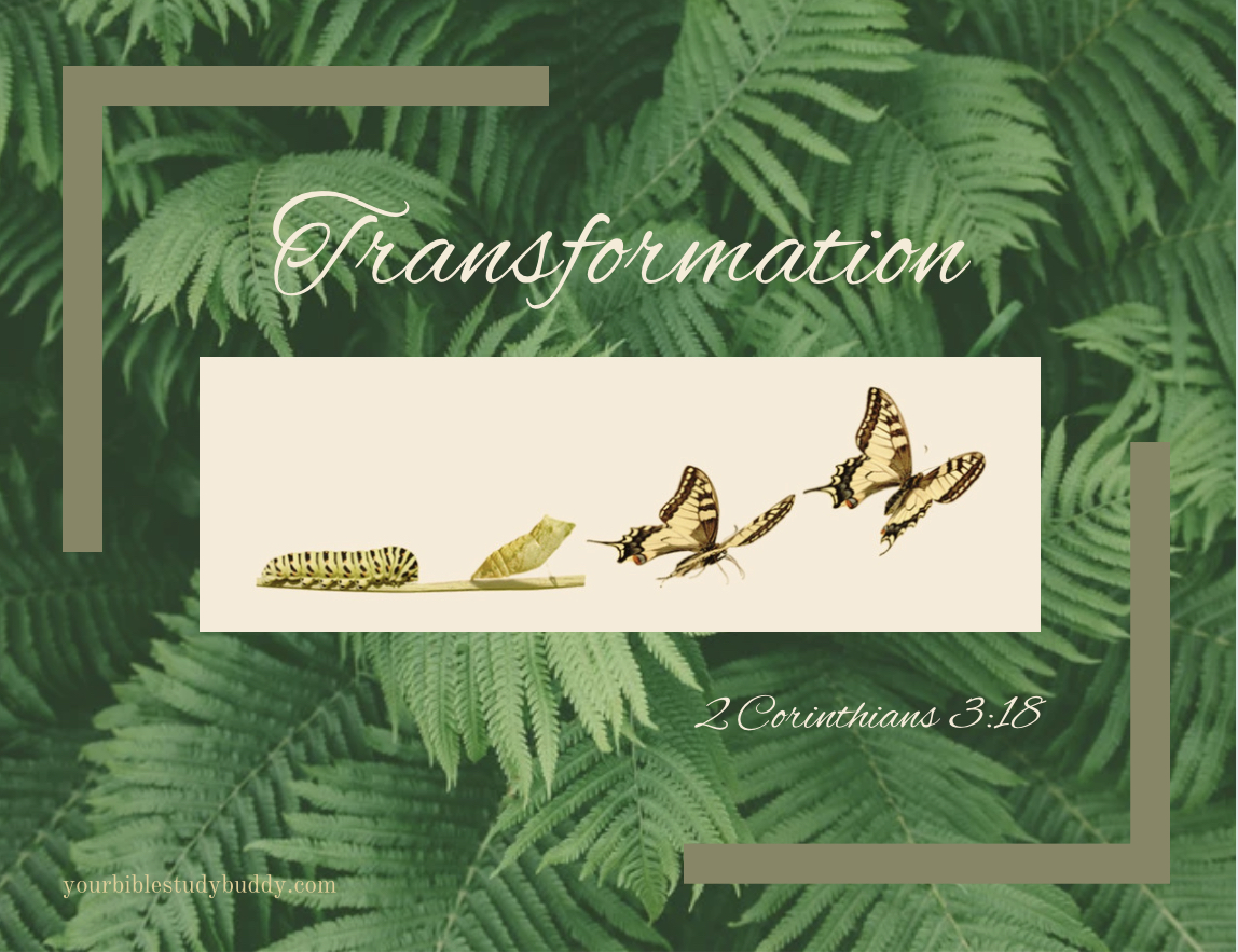 Transformation - Your Bible Study Buddy