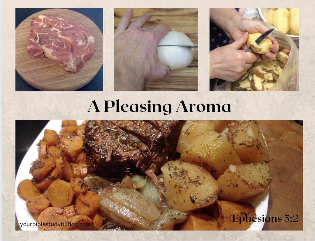 A Pleasing Aroma - Your Bible Study Buddy