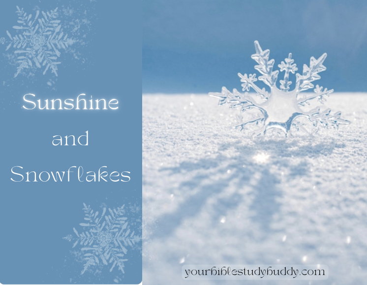 Sunshine and Snowflakes - Your Bible Study Buddy