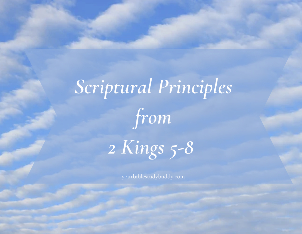 Spiritual Principles - Your Bible Study Buddy