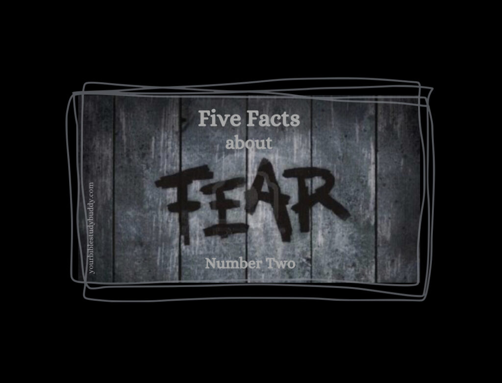 Facts about Fear, Number Two - Your Bible Study Buddy
