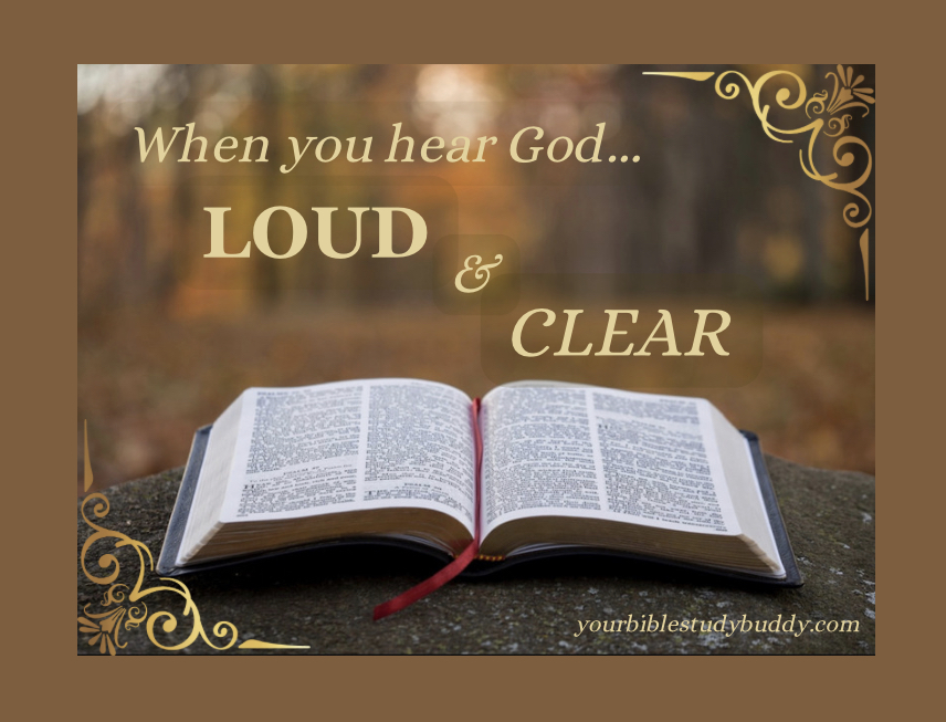Loud and Clear - Your Bible Study Buddy