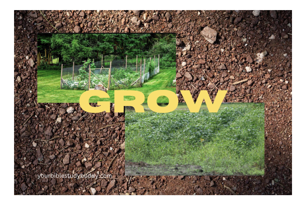 GROW - Your Bible Study Buddy