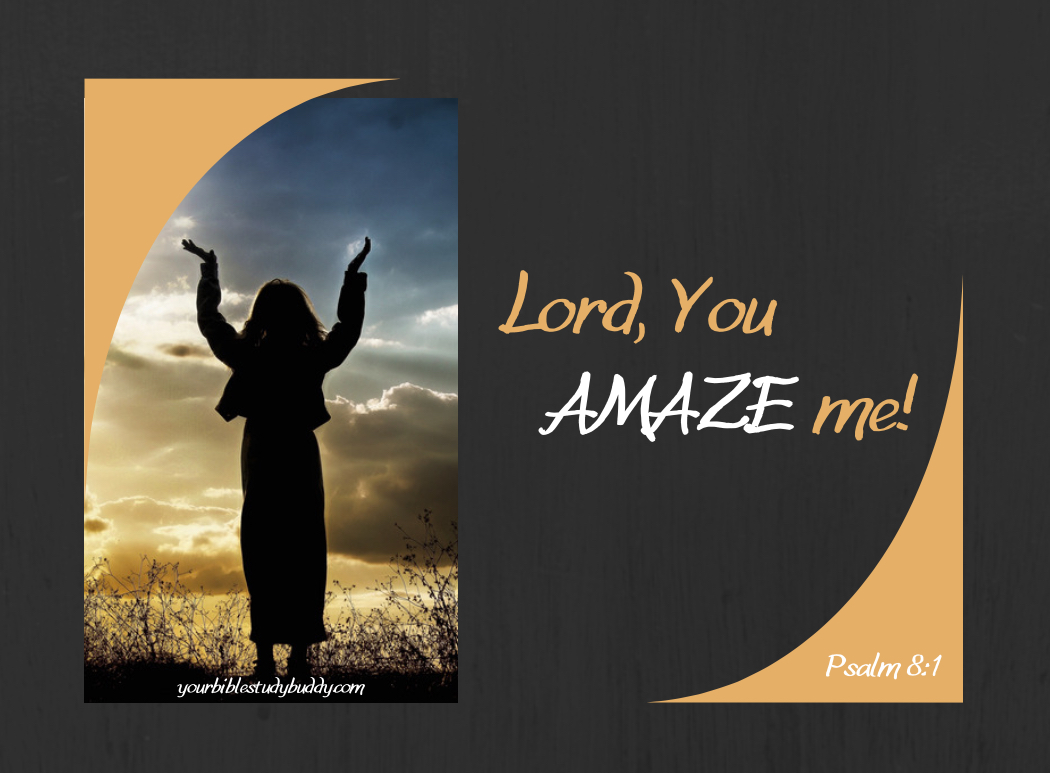 Lord, You Amaze Me - Your Bible Study Buddy