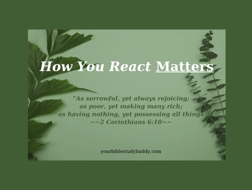How You React Matters - Your Bible Study Buddy